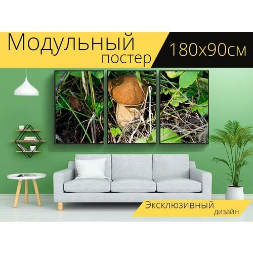 Модульный постер "Белый гриб, природа, грибы" 180 x 90 см. для интерьера
