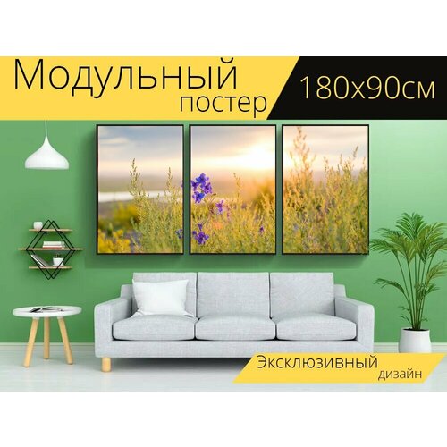 Модульный постер "Полевой цветок, трава, завод" 180 x 90 см. для интерьера
