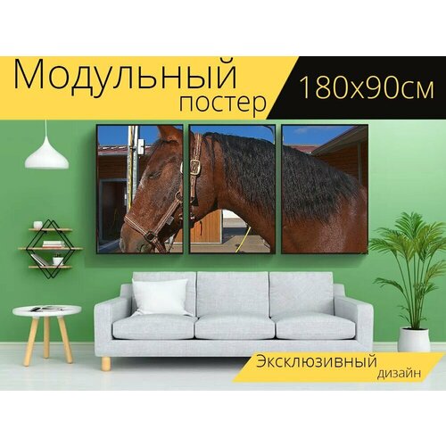 Модульный постер "Лошадь, лошадиная голова, конный спорт" 180 x 90 см. для интерьера