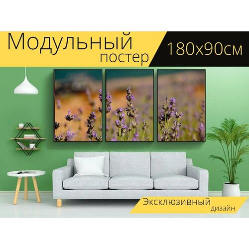 Модульный постер "Лаванта, цветок, лаванда" 180 x 90 см. для интерьера