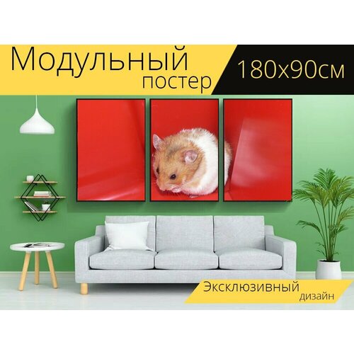 Модульный постер "Хомяк, домашний питомец, одомашненный" 180 x 90 см. для интерьера
