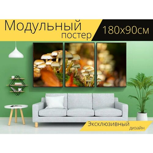 Модульный постер "Грибы, белый, лес" 180 x 90 см. для интерьера