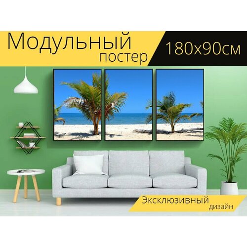 Модульный постер "Пляж, кокосовые пальмы, пальмы" 180 x 90 см. для интерьера