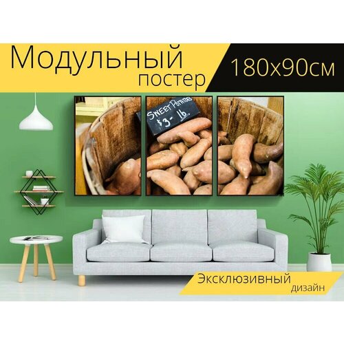 Модульный постер "Сладкий картофель, фермерский рынок, сладкая картошка" 180 x 90 см. для интерьера