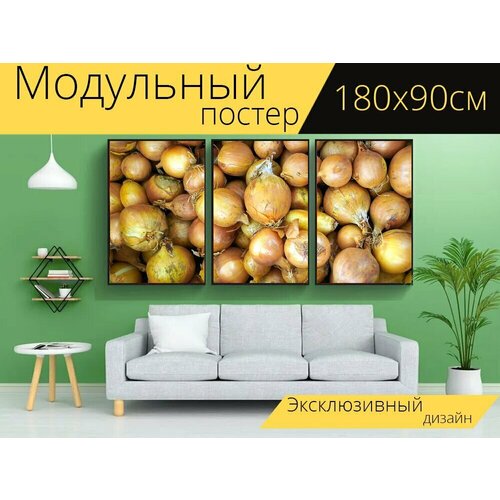Модульный постер "Лук, овощи, свежий" 180 x 90 см. для интерьера