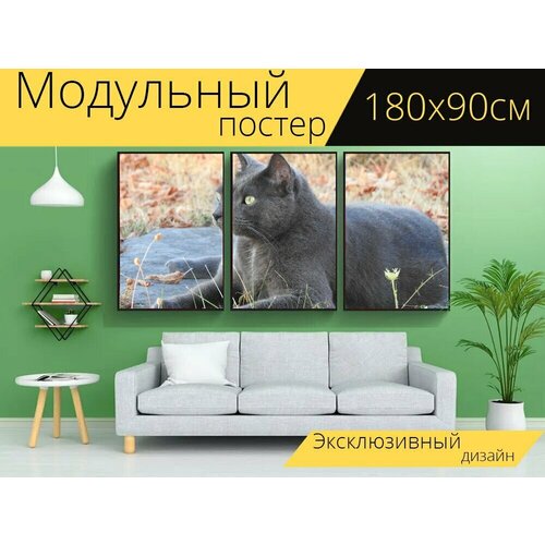 Модульный постер "Кошачий, кошка, серый" 180 x 90 см. для интерьера