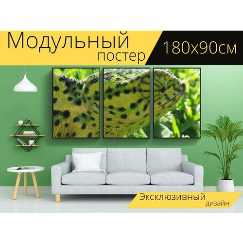 Модульный постер "Хамелеон, рептилия, зеленый" 180 x 90 см. для интерьера