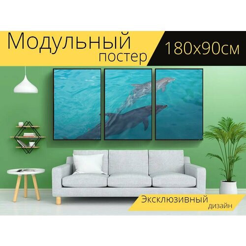 Модульный постер "Дельфины, вода, подводный" 180 x 90 см. для интерьера