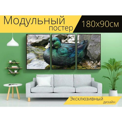 Модульный постер "Изумрудная утка, утка, мужской" 180 x 90 см. для интерьера