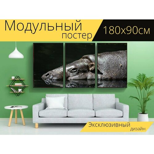 Модульный постер "Бегемот, бегемот карликовый, спит" 180 x 90 см. для интерьера