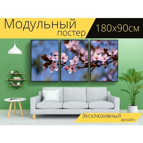 Модульный постер "Декоративная вишня, вишни в цвету, цветущая ветка" 180 x 90 см. для интерьера