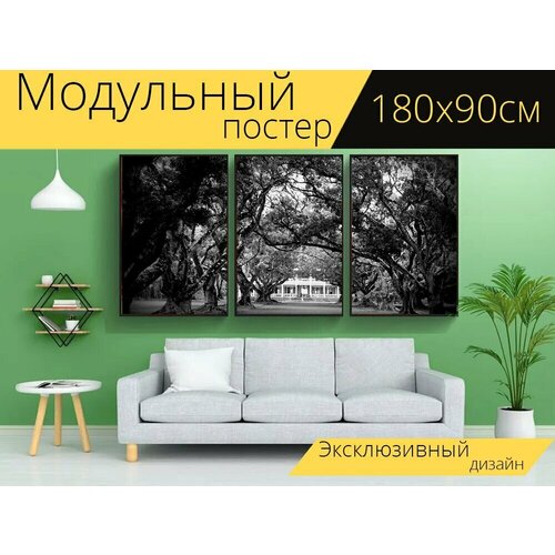 Модульный постер "Черно белые фото, деревья, темный" 180 x 90 см. для интерьера