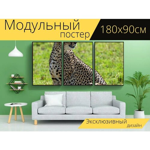 Модульный постер "Кения, гепард, большой кот" 180 x 90 см. для интерьера