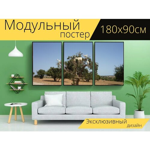 Модульный постер "Аргановое дерево, марокко, коза" 180 x 90 см. для интерьера