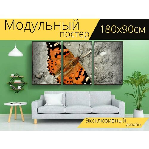 Модульный постер "Бабочка, ванесса аталанта, раскраска" 180 x 90 см. для интерьера