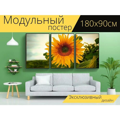 Модульный постер "Подсолнухи, цветы, летом" 180 x 90 см. для интерьера