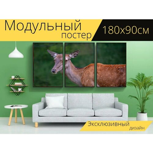 Модульный постер "Олень, животное, природа" 180 x 90 см. для интерьера