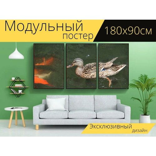 Модульный постер "Кряква, птица, утка" 180 x 90 см. для интерьера