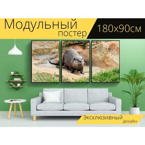 Модульный постер "Выдра, мокрая выдра, зоопарк" 180 x 90 см. для интерьера