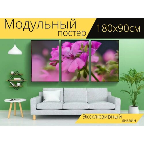 Модульный постер "Герань, цвести, яркий" 180 x 90 см. для интерьера