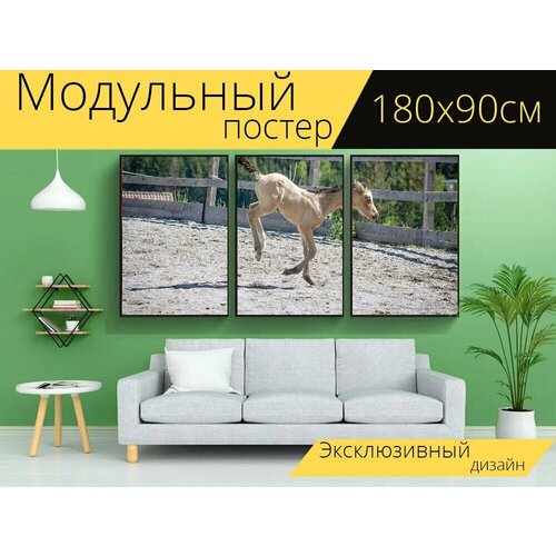 Модульный постер "Верховой езды пони жеребенок, жеребенок, связь" 180 x 90 см. для интерьера