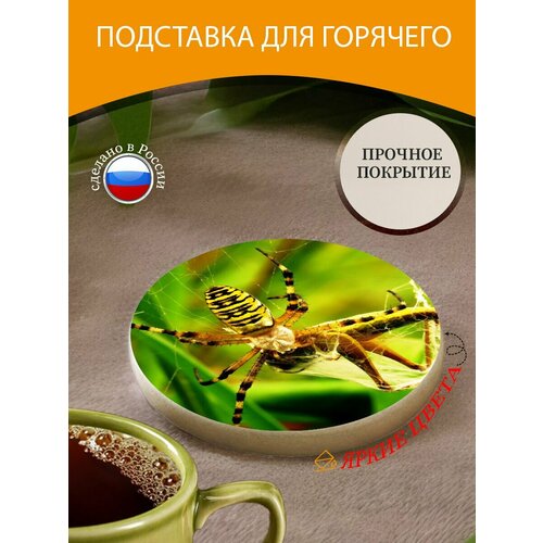 Подставка под горячее "Паук, тигр паук, оса паук" 10 см. из блого мрамора