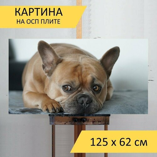 Картина на ОСП 125х62 см. "Французский бульдог, собака, портрет" горизонтальная, для интерьера, с креплениями