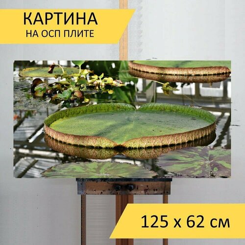 Картина на ОСП 125х62 см. "Лилии, водяная лилия, водное растение" горизонтальная, для интерьера, с креплениями