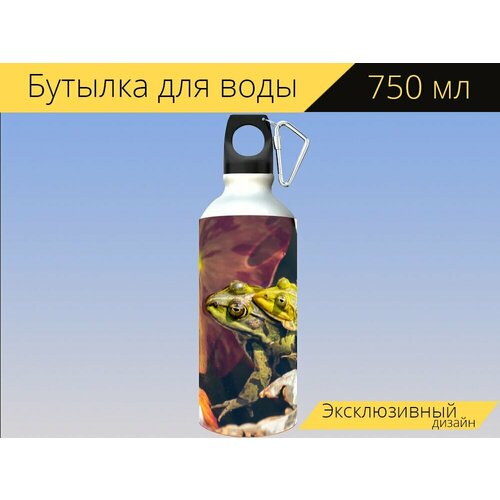 Бутылка фляга для воды "Лягушка, лягушки, пруд" 750 мл. с карабином и принтом