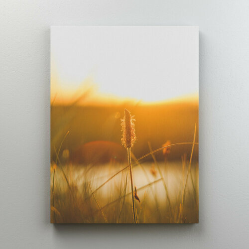 Интерьерная картина на холсте "Поле в солнечных лучах" пейзаж, размер 45x60 см