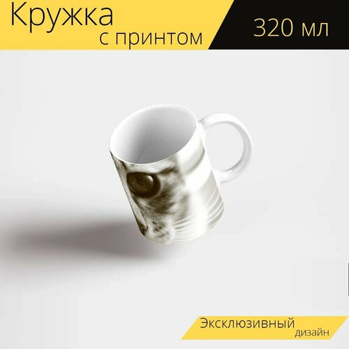 Кружка с рисунком, принтом "Кошка ребенок, кот, котенок" 320 мл.