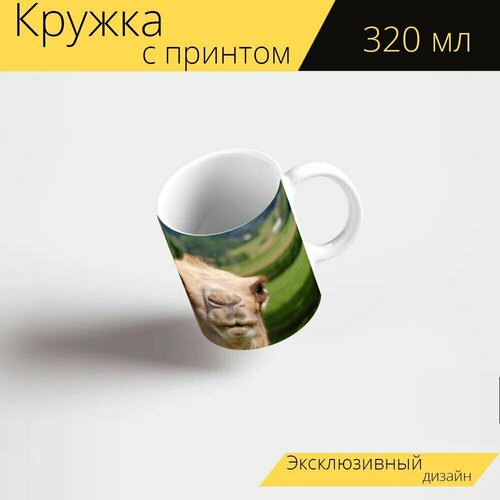 Кружка с рисунком, принтом "Верблюд, семейство млекопитающих, пара копытных" 320 мл.