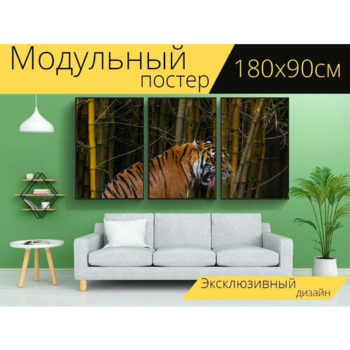 Модульный постер "Тигр, суматранский тигр, животное" 180 x 90 см. для интерьера