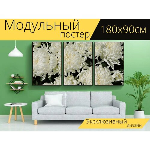 Модульный постер "Хризантемы, цветок, белый" 180 x 90 см. для интерьера