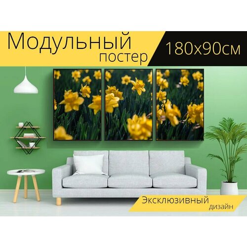 Модульный постер "Нарциссы, цветы, луг" 180 x 90 см. для интерьера