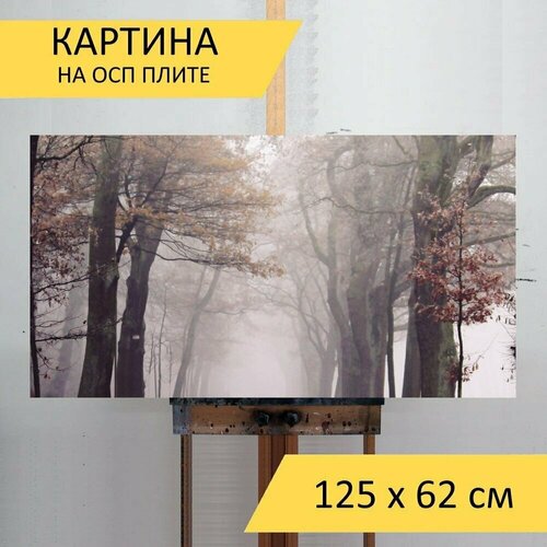 Картина на ОСП "Туман, парк, природа" 125x62 см. для интерьера на стену