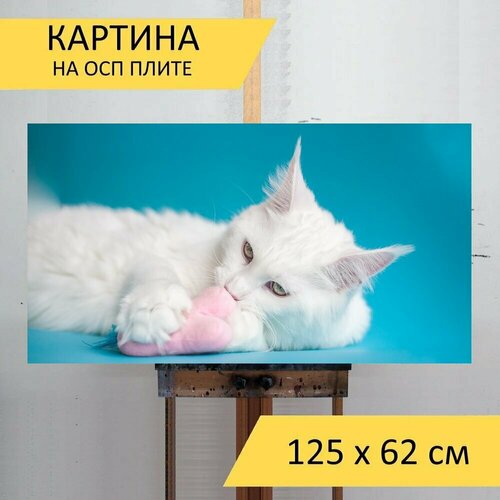 Картина на ОСП 125х62 см. "Мейн кун, кошка, домашний питомец" горизонтальная, для интерьера, с креплениями
