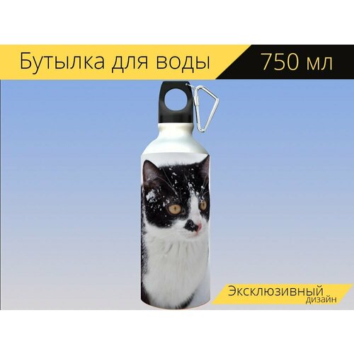 Бутылка фляга для воды "Кот, котенок, снег" 750 мл. с карабином и принтом