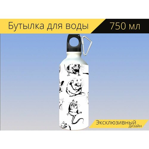 Бутылка фляга для воды "Крысы, мышь, дома мышь" 750 мл. с карабином и принтом