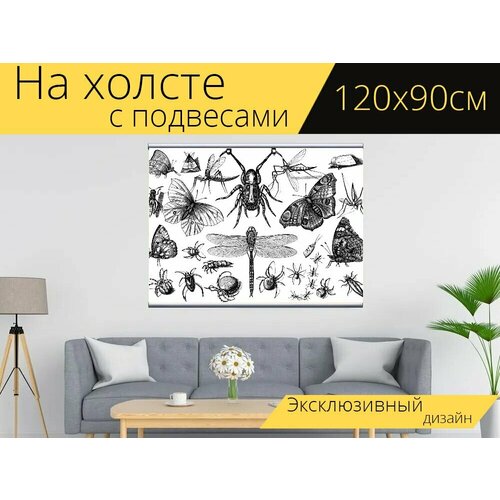Картина на холсте "Насекомые, животные, штриховая графика" с подвесами 120х90 см. для интерьера