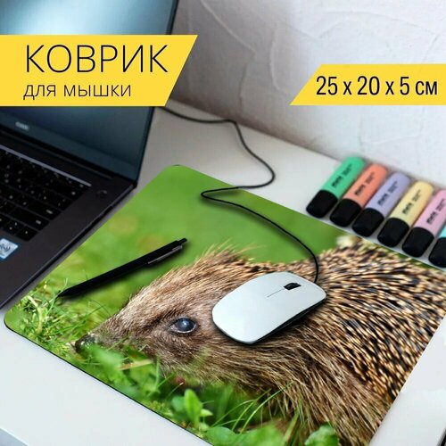 Коврик для мыши с принтом "Ежик, шпора, ханна" 25x20см.