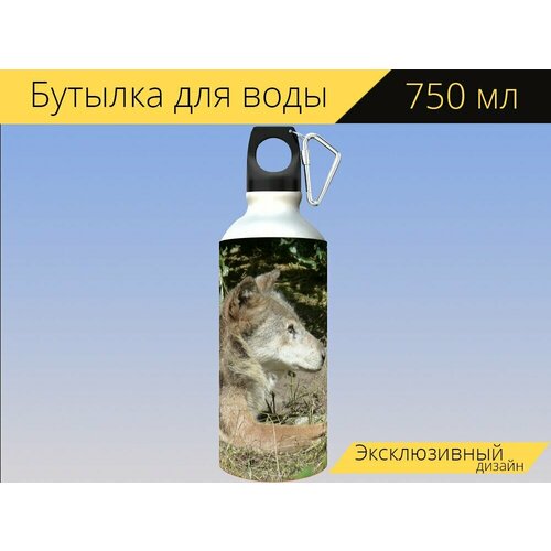 Бутылка фляга для воды "Волк, зоопарк, дикая природа" 750 мл. с карабином и принтом