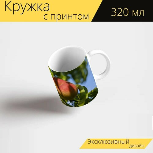 Кружка с рисунком, принтом "Персики, фрукты, косточковых" 320 мл.