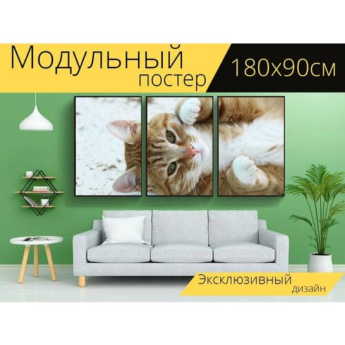 Модульный постер "Кошка, котенок, полосатый" 180 x 90 см. для интерьера