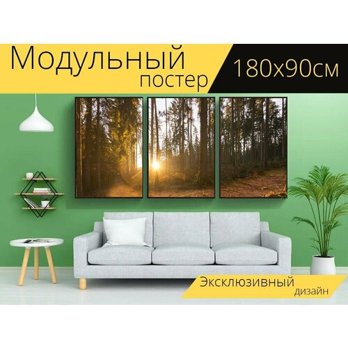 Модульный постер "Лес, леса, свет" 180 x 90 см. для интерьера