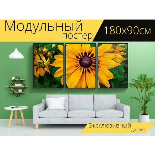 Модульный постер "Эхина, эхинацея, цветок" 180 x 90 см. для интерьера