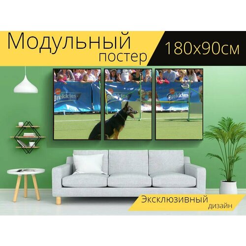 Модульный постер "Собака, немецкая овчарка, талисман" 180 x 90 см. для интерьера