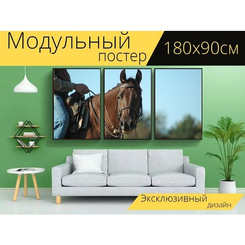 Модульный постер "Лошадь, уздечка, езда на лошади" 180 x 90 см. для интерьера