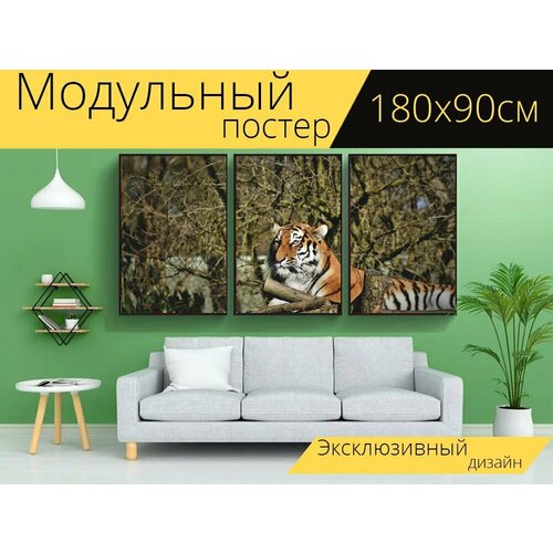 Модульный постер "Тигр, сибирский тигр, большой кот" 180 x 90 см. для интерьера
