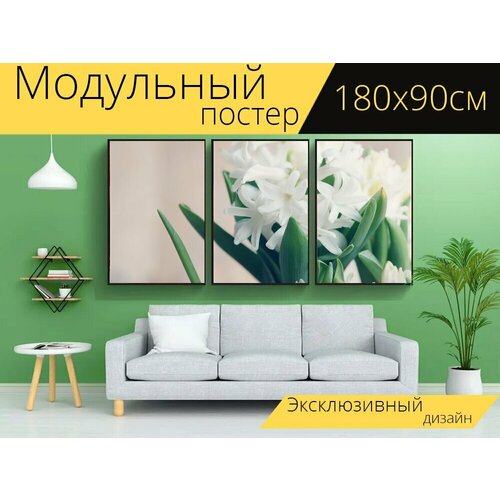 Модульный постер "Гиацинт, цветок, расцветает" 180 x 90 см. для интерьера